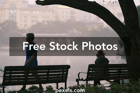 Orofacial Myofunctional Therapy Photos Download The Best Free