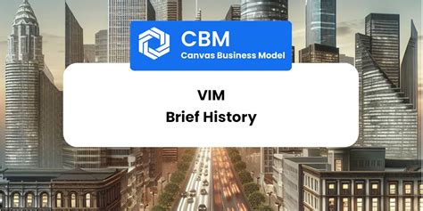 Une Brève Histoire De Vim Canvas Swot Pestel And Bcg Matrix Editable Templates For Startups