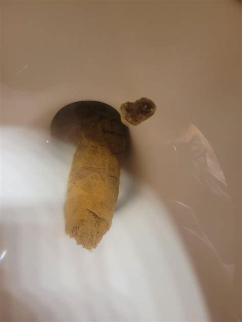 My Yummy Turds From A Few Days Ago🤤 Wish You Couldve Seen It Come Out