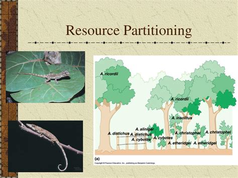 Ppt Community Ecology Powerpoint Presentation Free Download Id6567298