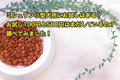 ミシュワン小型犬用にお試しはある？ミシュワン小型犬用にお試しはある？ 犬と暮らせば・・・♪