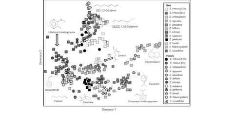 Ordination Based On Non Metric Multidimensional Scaling Nmds Using Download Scientific