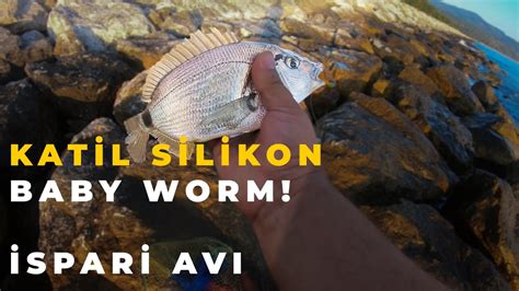 KATİL SİLİKON BABY WORM LRF İLE İSPARİ AVI LRF TEKNİKLERİ YouTube