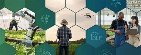 Nsf Usda Collaborate To Enhance Agri Robotics Innovation Mirage News