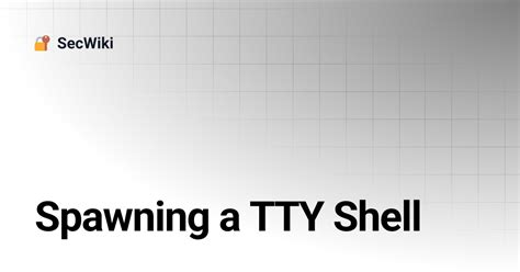 Spawning A Tty Shell Secwiki