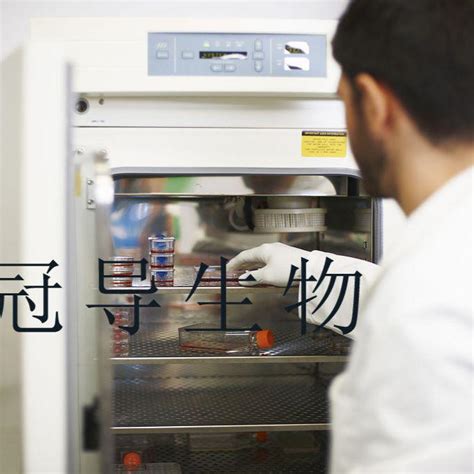 Wi 38 人胚肺成纤维细胞完全培养基价格详情介绍 960化工网 960化工网