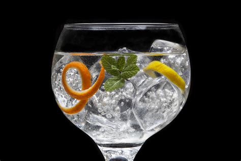 Los Cítricos Aliados Perfectos Para Tu Gin Tonic Vones Gin Blog