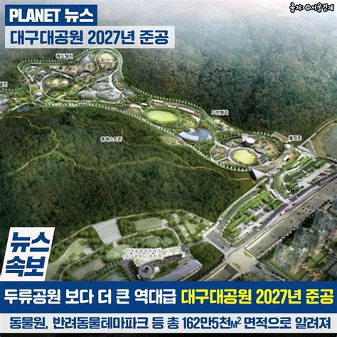대구플래닛 대구맛집 대구여행 대구카페 대구핫플 뉴스 대구대공원 2027년 준공 판다 들여올 수 있도록 중국과 협의