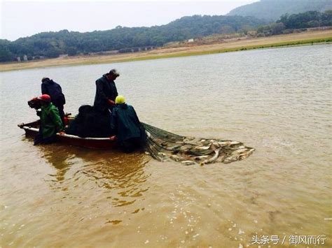 原創 登雲冬捕成絕響，水庫不復泛扁舟 每日頭條