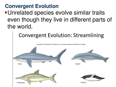 Evolution Notes Unit Ppt Download