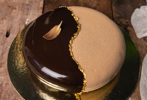 Eggless Chocolate Raspberry Entremet Bake Better Pro