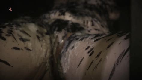 Ice Cold Porn Videos 2026 Porn Star Sex Scenes Xhamster