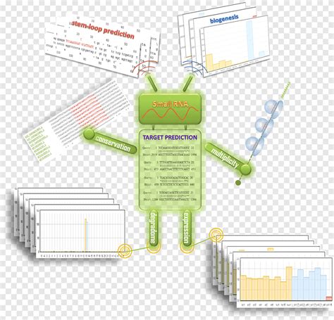 Non Coding Rna Microrna Rna Seq Bioinformatics Technology Angle