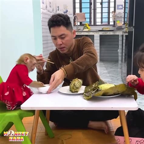 Dad Checks Monkey Kaka And Monkey Mits Weight For New Outfits Dad