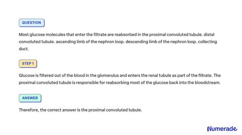 SOLVED Most Glucose Molecules That Enter The Filtrate Are Reabsorbed