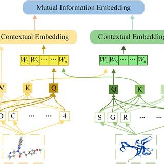Drug Protein Molecular Presentation Learning E 1 And E 2 Represent