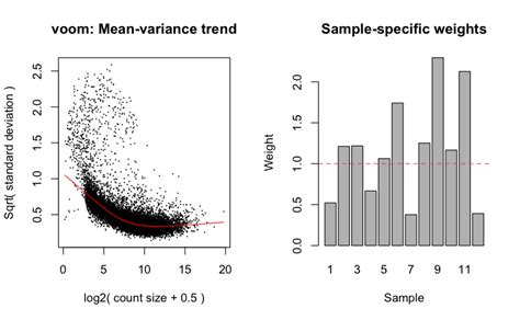 Tutorial Bulk Rna Seq De Analysis Harvard Fas Informatics Group