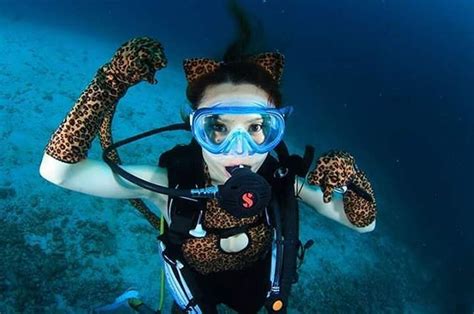 Pin By No On Scuba Scuba Diving Scuba Diving
