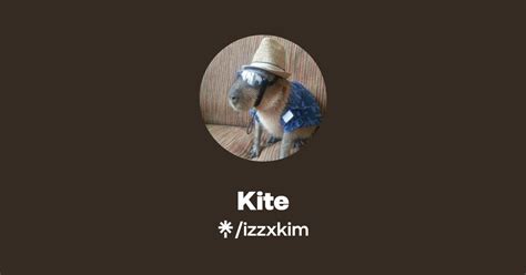 Kite Instagram Tiktok Twitch Linktree