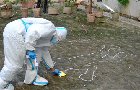forensic science workshop conducted bharti vishwavidyalaya