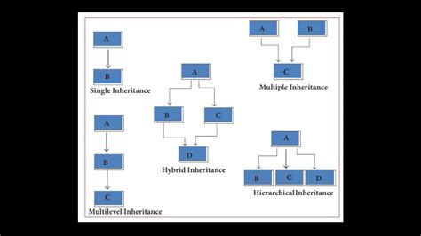 8 Multipath Inheritance On Vimeo