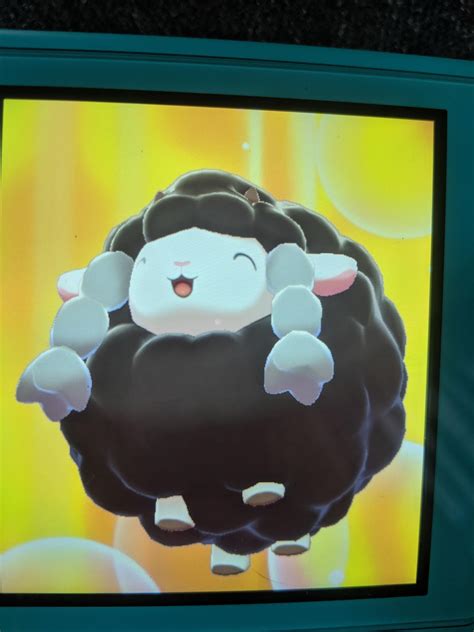 8 My Reaction After 2700 Wooloo Encounters When I FINALLY Found My