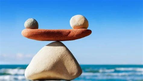 A Clear Distinction Explain The Difference Between Proportion And