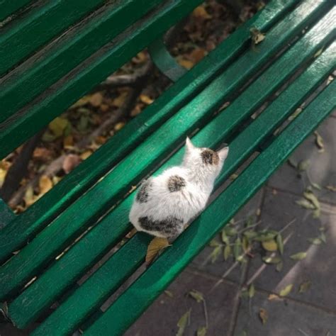 𝘼𝙫𝙞𝙣 Youtube