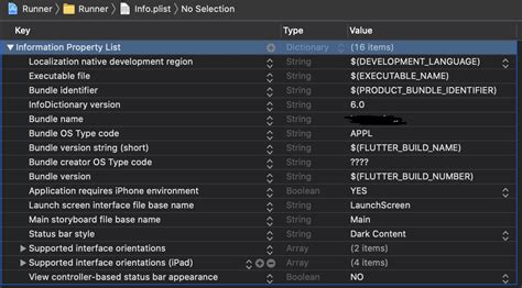 Ios Xcode 121 Disabled Bundle Identifier Field Flutter App Stack