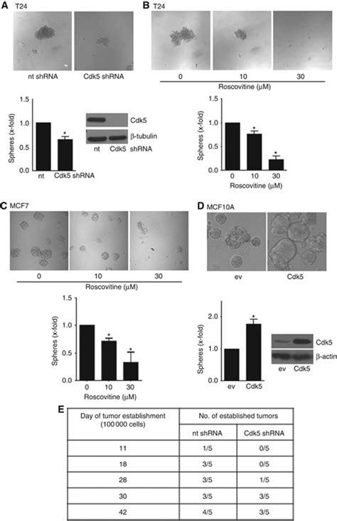 Inhibition Of Cdk5 Induces Cell Death Of Tumor Initiating Cells Pmc