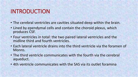 Ventricles And Cisterns Of Human Brain Pptx