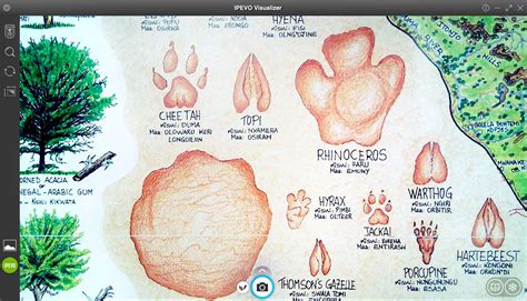 Ipevo Visualizer Ipevo Jp