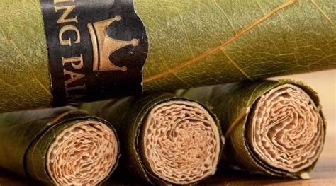 The Best Types Of Joint Filter Tips For Upgrading Your Joints Stoner