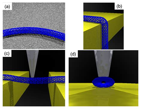 sandia researcher examines the physics of carbon nanotubes news releases