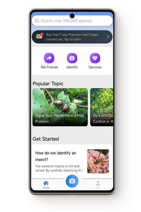 the best bug identifier apps for android and iphone appuals