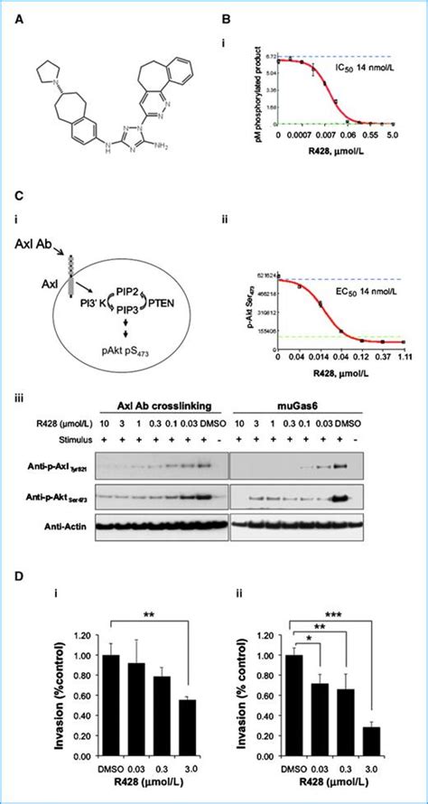 R428 A Selective Small Molecule Inhibitor Of Axl Kinase Blocks Tumor