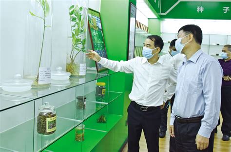 考核我市林长制工作 阳春市人民政府门户网站