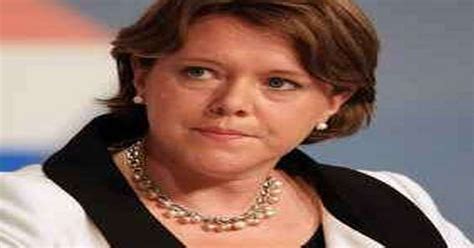 EU Court Upholds Political Ads Ban Daily Star