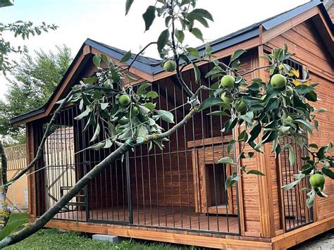 Вольер для кане корсо под ключ в Киеве