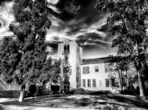Tree Architecture Mansion Chateau Autumn Black And White Image