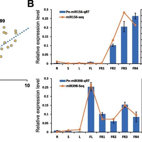 Qrt Pcr Validation Of The Mirna Expression Levels Detected By Small Rna