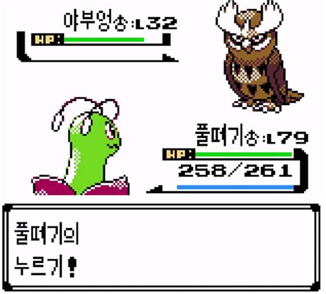 포켓몬스터 크리스탈 버전 완벽 공략 [16] 전설의 똥 개 포켓몬 스이쿤 라이코 앤테이 잡기 네이버 블로그