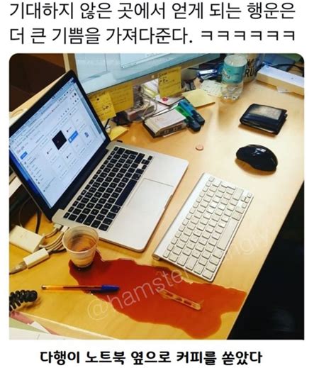운 좋은 하루를 보낸 사람들