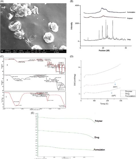 A Sem Image Of Resveratrol Loaded Microsponge Formulation Download Scientific Diagram
