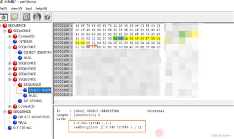 X509证书中的subject Public Key Infosubjectpublickeyinfo Csdn博客