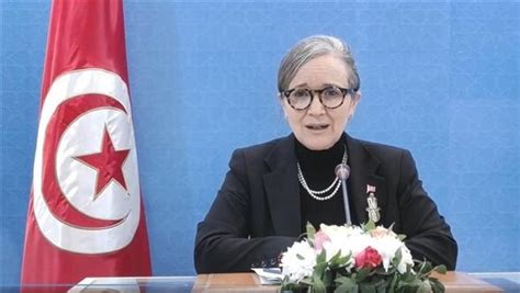 رئيسة الحكومة التونسية تشيد بدور الهيئات الرقابية في مكافحة الفساد