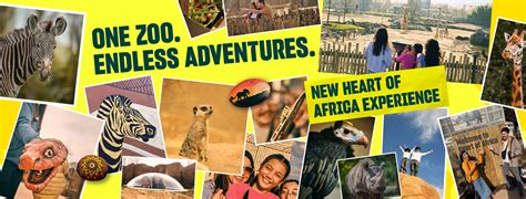 Jays Virtual Pub Quiz From Tonight For The Next Two Weeks We Are Working With Youth Charity