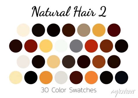 Collection Color Palette Swatch Color Palette Flat Vector