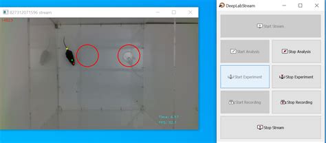 GitHub SchwarzNeuroconLab DeepLabStream Closed Loop Behavioral Experiment Toolkit Using Pose