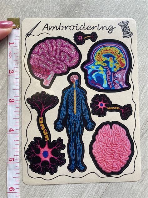Neurological Anatomical A6 Sticker Sheet Embroidery Neuron Brain
